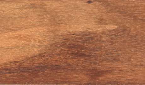 Pithecellobium Arboreum (Wild Tambran) – Wood