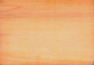 Podocarpus Usambarensis (African podocarpus) – Wood