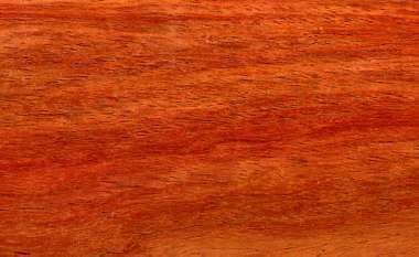 Pterocarpus Indicus (NarraAndaman padauk) – Wood