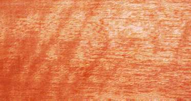 Shorea Acuminatissima (Yellow meranti) – Wood