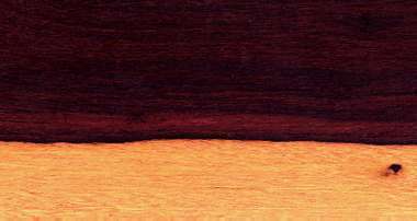 Swartzia Cubensis (Wamara) – Wood