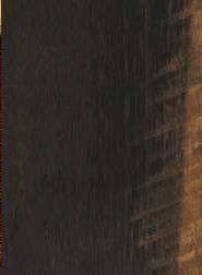 Swartzia Cubensis (Wamara) – Wood