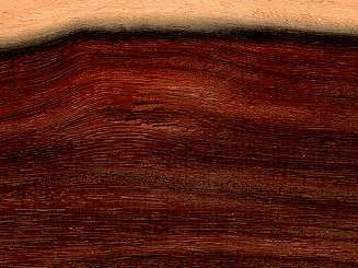 Swartzia Cubensis (Wamara) – Wood