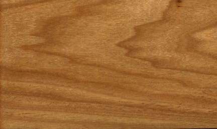 Terminalia Amazonica (Nargusta) – Wood