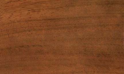 Wallaceodendron Celebicum (Banuyo) – Wood