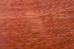 Brosimum Alicastrum (Capomo) – Wood