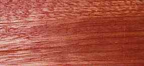 Calophyllum Tomentosum (Bintangor) – Wood