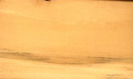 Aesculus Glabra (Ohio buckeye) – Wood